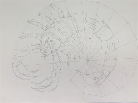 Pythagoras Drawing At Explore Collection Of