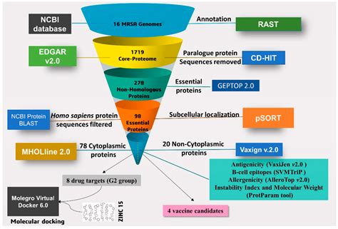 Identification Of Putative Vaccine And Drug Targets Against The Methicillin Resistant