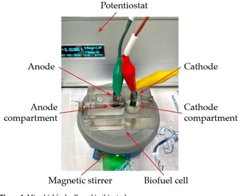 Figure 1 From Polymer Based Conductive Nanocomposites For The Development Of Bioanodes Using