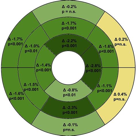 Response Of Segmental Δls After Dhe Visualized In The Aha 16 Segment