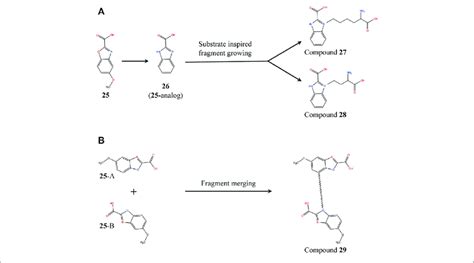 Fragment Growing And Fragment Merging Strategies Based On The