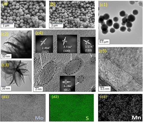 Typical Morphology Obtained Using Hydrothermal Solvothermal Synthesis Download Scientific