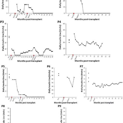 Daily Insulin Requirements After Islet Transplantation Six Out Of 9 Download Scientific