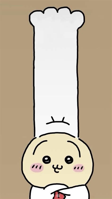 100 Chiikawa Ideas To Save Today Usagi Cute Nagano And More