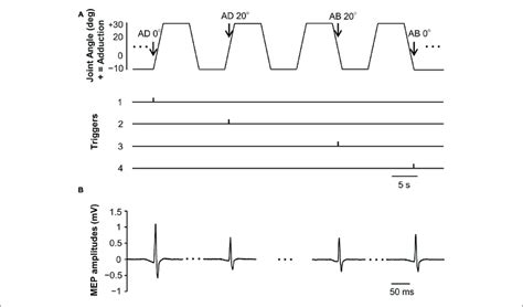 joint angle trigger signals and mep waveforms elicited by one