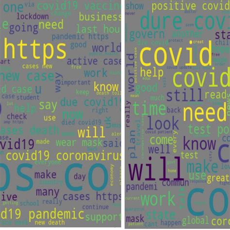 a the word cloud for raw tweets b the word cloud for the preprocessed