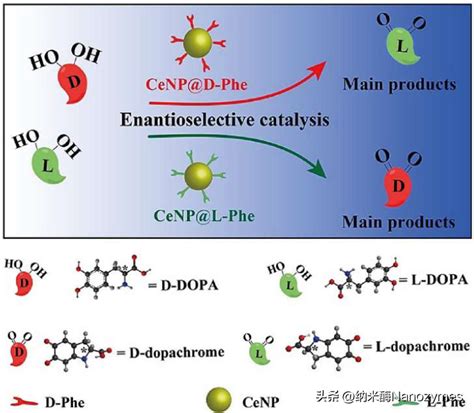 Chiral Nanozymes For Enantioselective Biocatalysis Inews