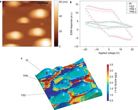 Mapping Electrochemical Activity Near A Triple Phase Boundary A Download Scientific Diagram