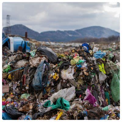 The Dos And Donts Of Composting An Essential Guide