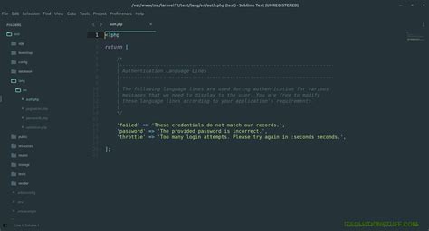 How To Publish The Lang Folder In Laravel 11 ItSolutionstuff