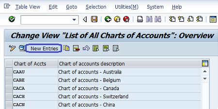 Chart Of Accounts In SAP Definition Types How To Define COA