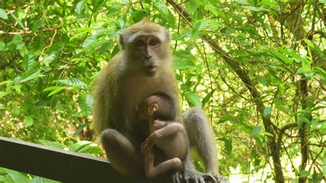 Couplesmakingpassionatelove Videos Download The Best Free 4k Stock