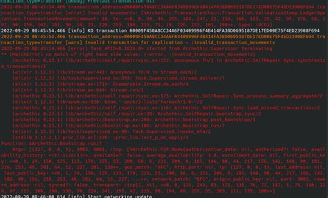 Invalid Transaction Movement During Self Repair · Issue 594
