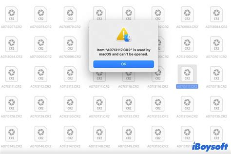 Fixed Item Is Used By Macos And Cannot Be Opened