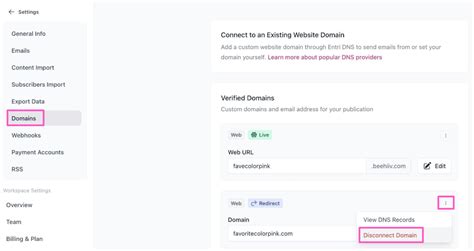 How To Remove A Custom Domain Beehiiv