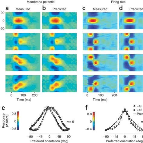 Predicting The Interactions Between Population Responses To Successive