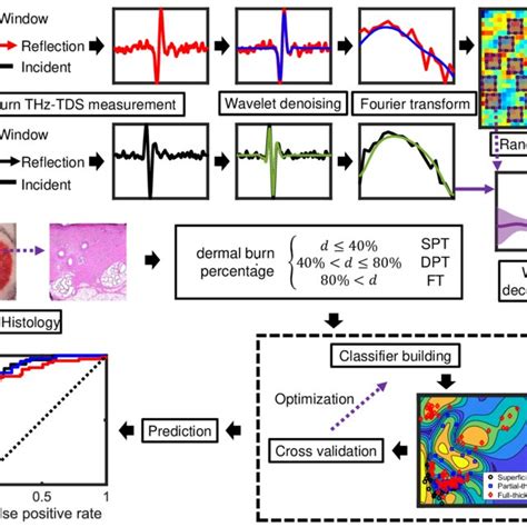 The Workflow Of Training And Testing The Classifiers For Diagnosing A