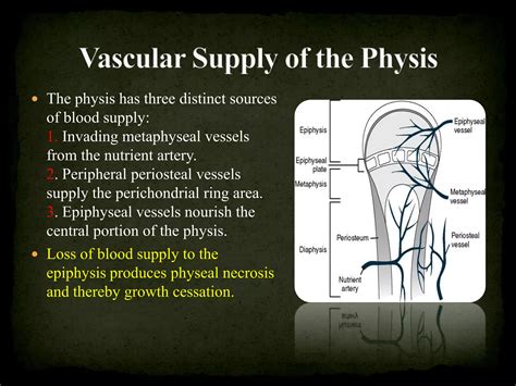 Growth Plate Physeal Fracture Pdf