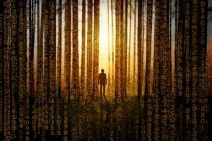 Binary Trees In Java Examples A Complete Guide