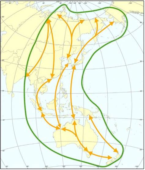 Wetlands And Migratory Shorebirds Dcceew