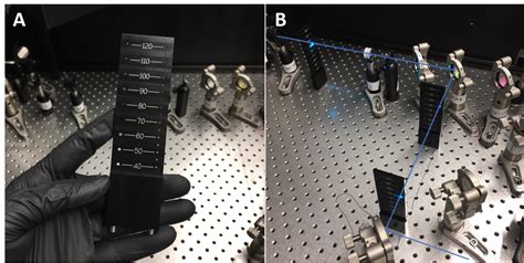 Alignment Tool Janelia Research Campus