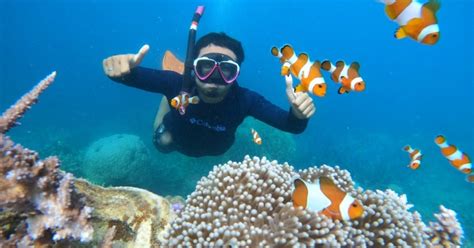 Da Jepara Tour Di Snorkeling Di 3 Giorni Nell Arcipelago Di Karimunjawa GetYourGuide