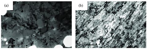 Microstructure Comparison Of Two Materials After Stretching At 700 °c