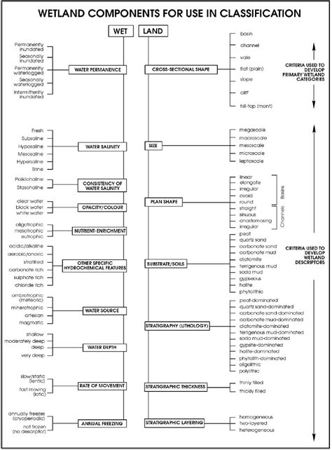 Figure 2 From A Comprehensive Classification Of Inland Wetlands Of