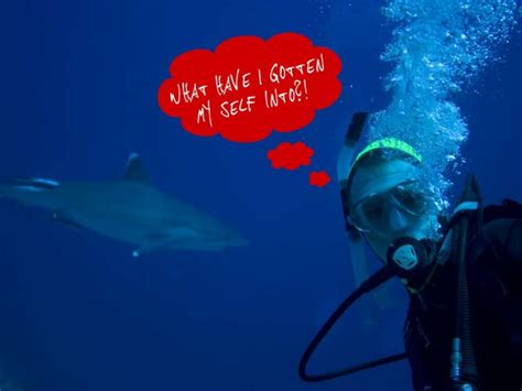 Mvvm Design Pattern Ndc2009 Ppt