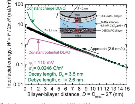 Figure 2 From Interaction Of Adsorbed Polymers With Supported Cationic Bilayers Semantic Scholar