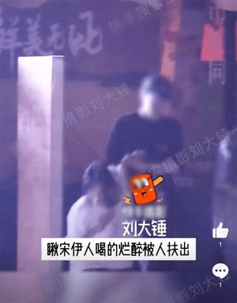 宋伊人深夜醉酒路边呕吐 喝得烂醉被男友人搀扶 搜狐大视野 搜狐新闻