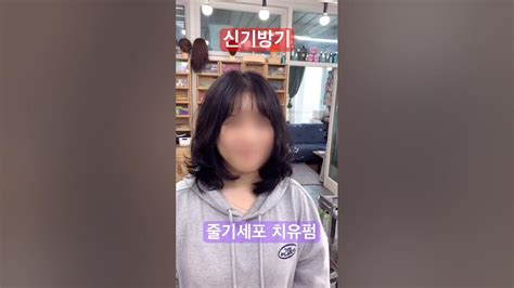 신기하게 중화먼저 시작하는 디지털펌 입니다 극손상모 탈색모발에 손상없이 펌이 이루어집니다 그게바로 줄기세포치유펌 레이어드펌 줄기세포치유펌 레이어드c컬펌 헤어
