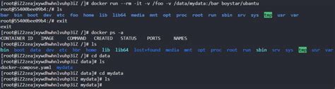 【docker学习】docker run 选项之临时容器的不二之选 rm docker run 创建得是一个临时的容器吗 csdn博客