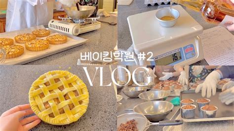 ‍제과제빵학원 Vlog👩🏻‍🍳 💸379500원과 바꿔온 합격에 관한 모든 팁‼️ 제과 실기 초코머핀다쿠아즈치크케이크애플파이타르트 Youtube