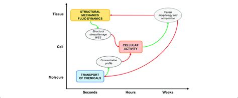 Schematic Representation Of A General Multiscale Framework Of