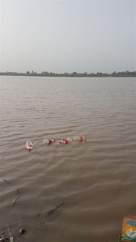 Plastic Bottle Object Detection Dataset By Bottle