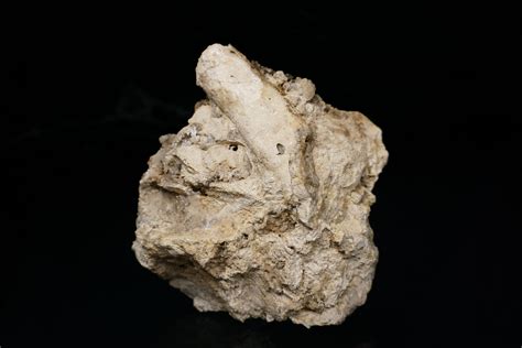 Worm Fossil Tube Spalerite Baryte Calcite D Joyce Minerals