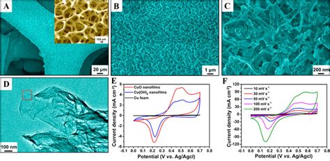Morphologies Of Cuo Nanofilms A C Sem Images Taken At Different