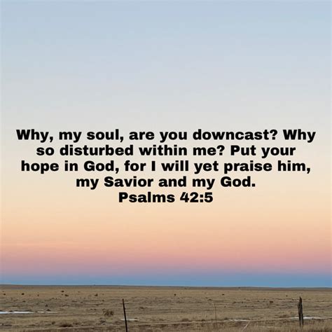 Psalms 42 5 Why My Soul Are You Downcast Why So Disturbed Within Me Put