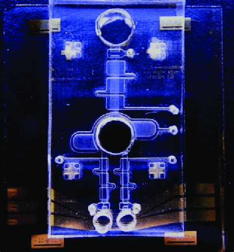 A Photograph Of The Integrated Microfluidic System For Rapid Isolation Download Scientific