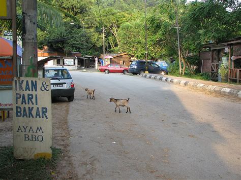 Cherating Wikipedia Bahasa Melayu Ensiklopedia Bebas