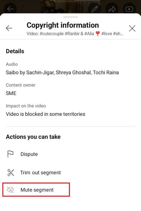 How to Remove and Fix Copyright Claims on YouTube – TechCult