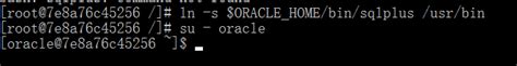 docker中拉取镜像、配置并实现将数据导入到oracle库中 qq 27039845的博客 csdn博客