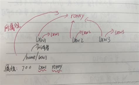 Linux学习记录18——用户的基本组、扩展组和文件的所有者、所属组之间的关系linux所有者和所属组 Csdn博客