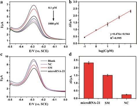 A Dpv Results Of Label Free Biosensor For Microrna 21 Detection In The Download Scientific
