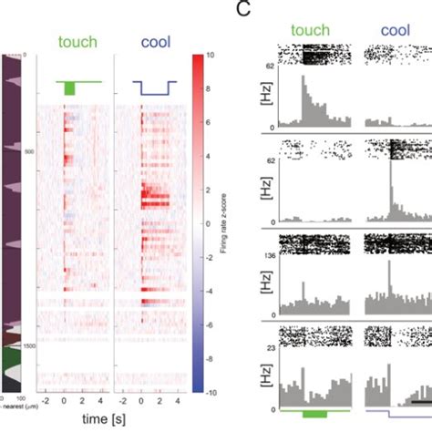 Multimodal Stimulation Boosts Responses And Recruits Neurons A Download Scientific Diagram