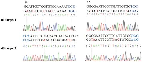 Crisprcas9 Induced Mutation Of Sex Peptide Receptor Gene Bdspr Affects