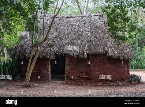 Native American Wattle And Daub Homes Our Rich History Newport