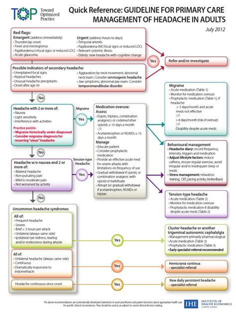 Cephalgia Primer Pdf Headache Migraine