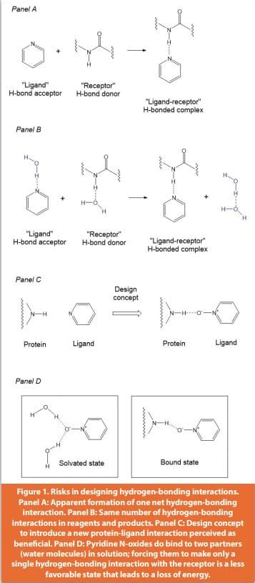 Principles Of Drug Design How To Leverage Ligand Receptor Molecular Interactions American